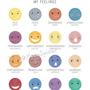 Bilingual Spanish and English Feelings, Emotions Poster Digital ...