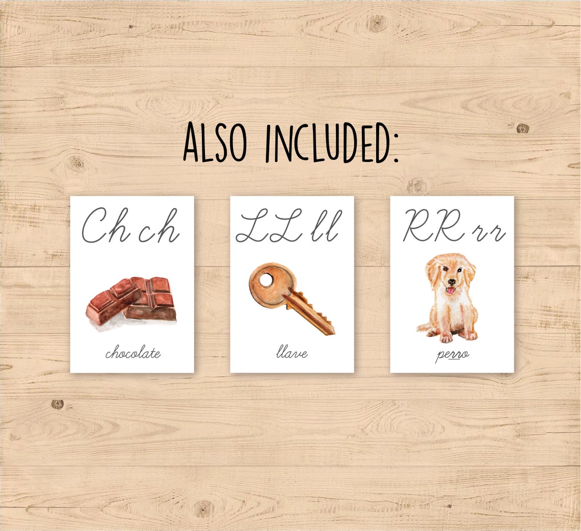 SPANISH Alphabet ABC Flash Cards Cursive, Realistic Watercolor ...