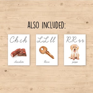 SPANISH Alphabet ABC Flash Cards Cursive, Realistic Watercolor ...