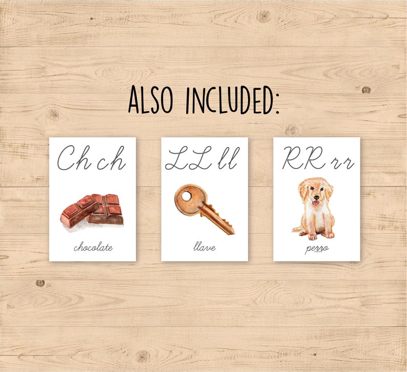 SPANISH Alphabet ABC Flash Cards Cursive, Realistic Watercolor ...