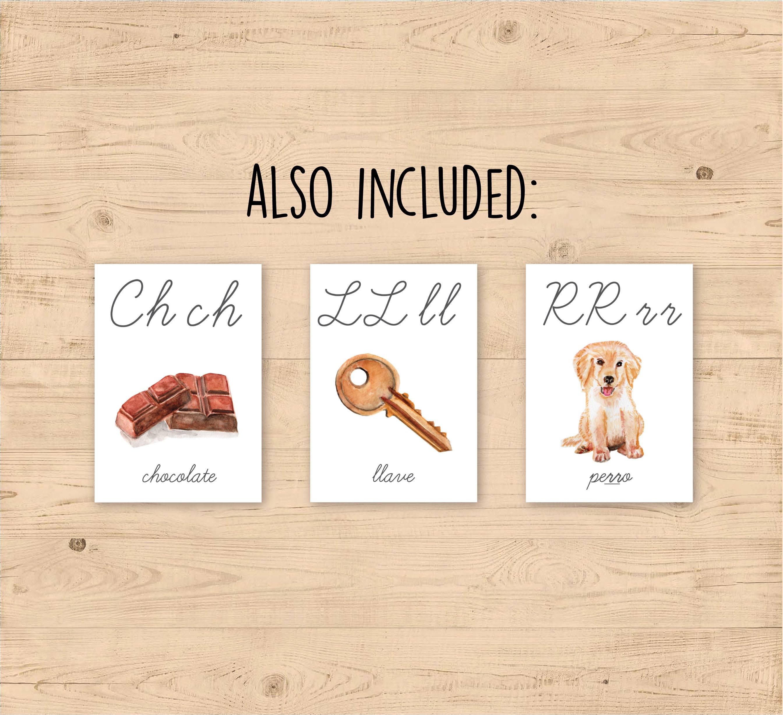 SPANISH Alphabet ABC Flash Cards Cursive, Realistic Watercolor ...