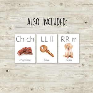 SPANISH Alphabet ABC Flash Cards, Realistic Watercolor Montessori ...