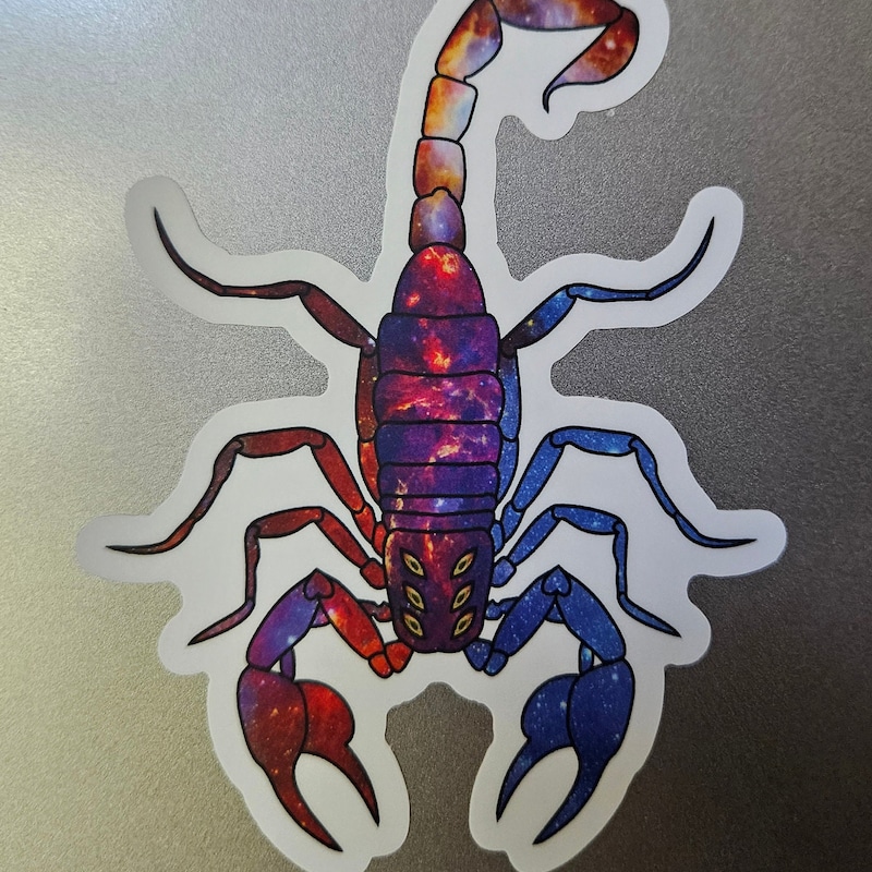 Scorpion Car Decal - Etsy