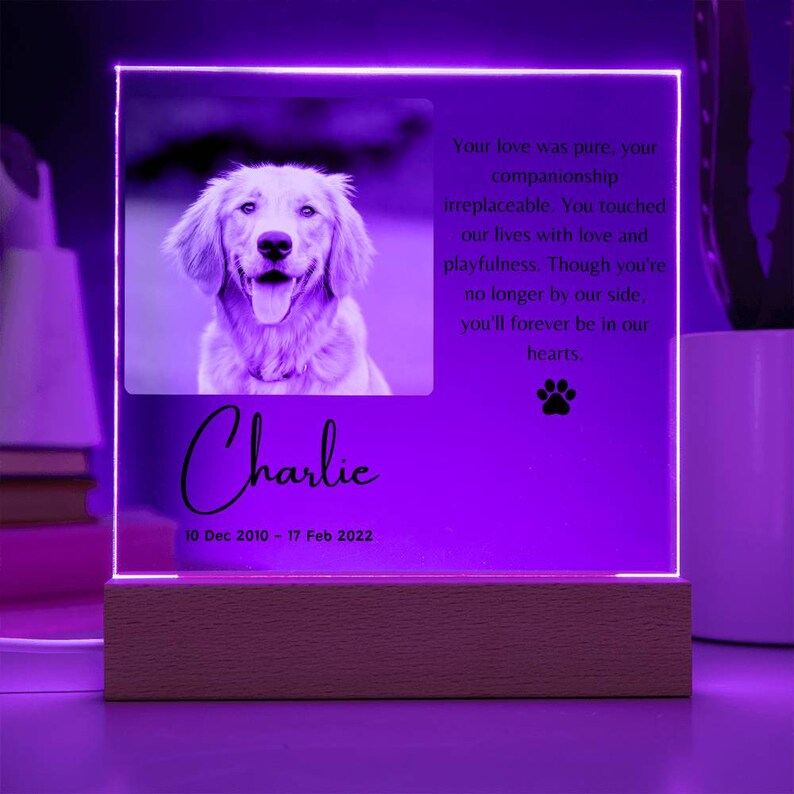 Personalized Photo Night Light, Light up Pet Memorial Plaque, Pet ...