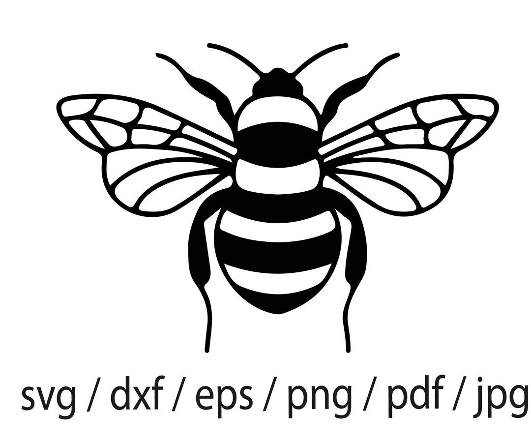 Bee Svg Animal Svg Queen Bee Svg Worker Bee Svg Honey - Etsy