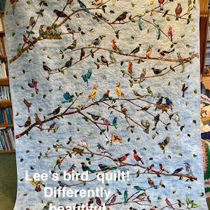 Fun REAL TWEETS Quilt Pattern: 100 Appliqué Birds (PDF Download ...