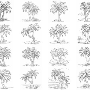 100+ Procreate Palm Tree Stamps, Palm Tree Brushes for Procreate ...
