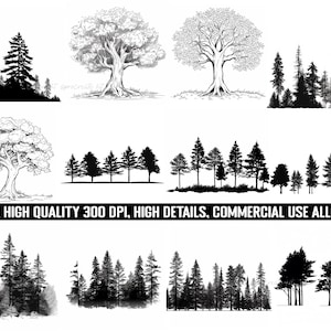 100+ Procreate Tree Stamps, Realistic Tree Brushes for Procreate ...