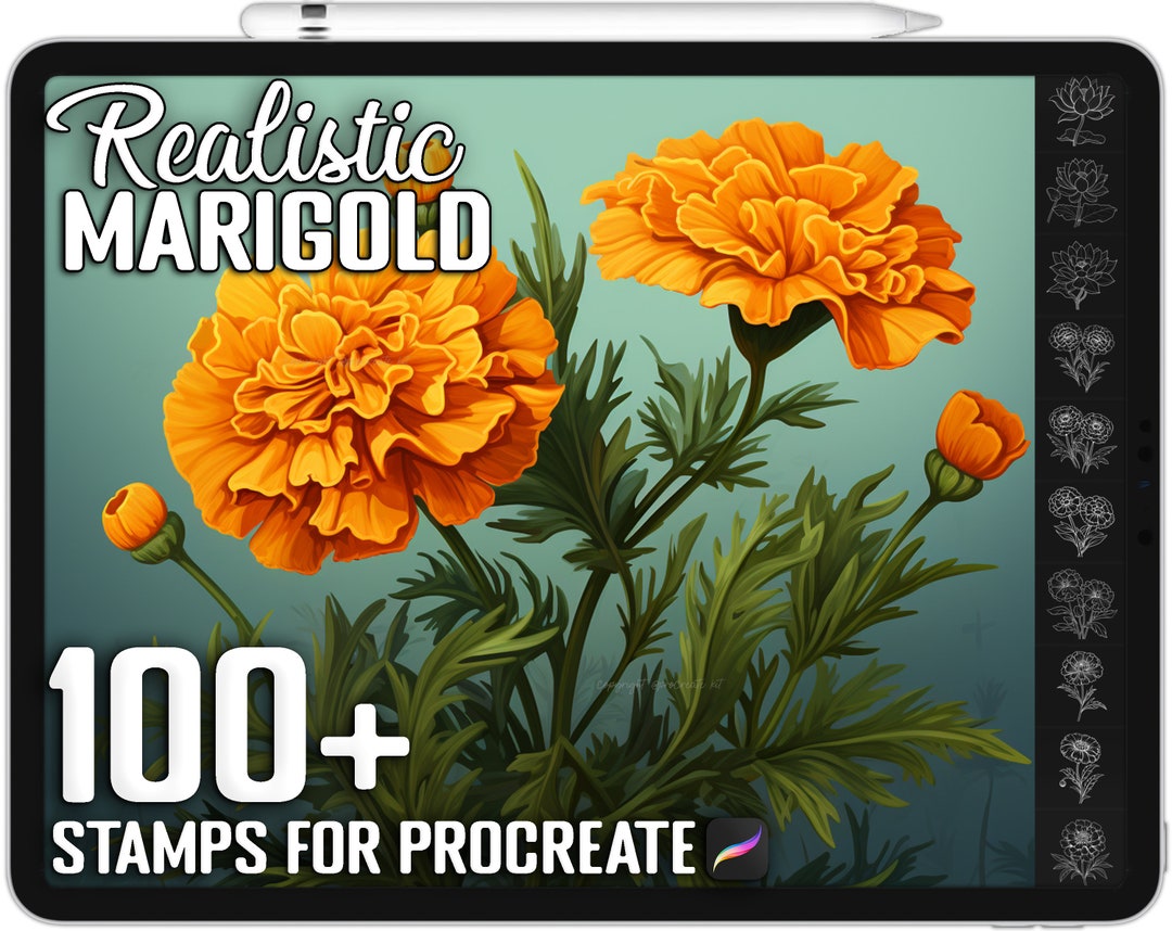 100+ Procreate Marigold Stamps, Marigold Brushes for Procreate, Instant ...