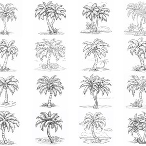 100+ Procreate Palm Tree Stamps, Palm Tree Brushes for Procreate ...