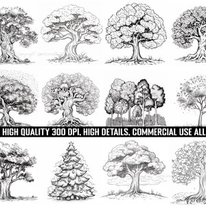 100+ Procreate Tree Stamps, Realistic Tree Brushes for Procreate ...