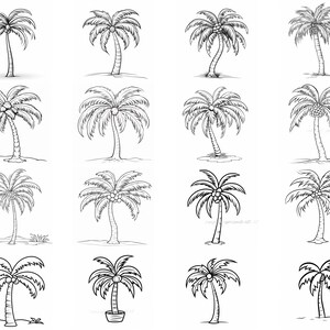 100+ Procreate Palm Tree Stamps, Palm Tree Brushes for Procreate ...