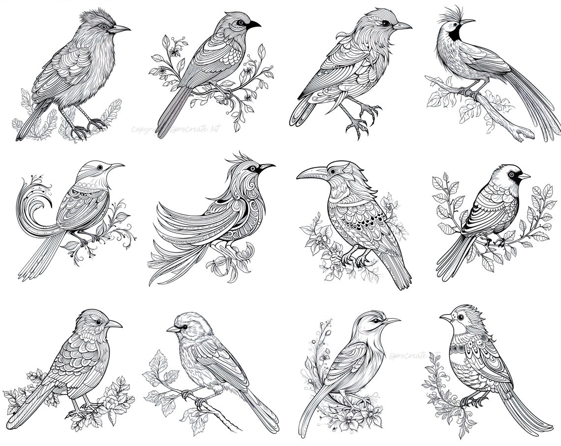 100 Procreate Bird Stamps Realistic Bird Brushes for - Etsy