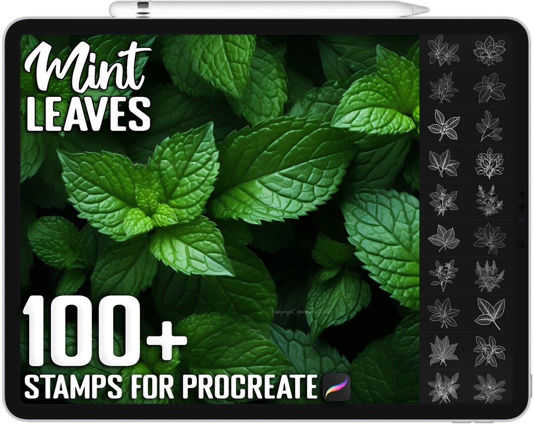 100+ Procreate Mint Leaf Stamps, Unique Realistic Mint Leaf Brushes for ...