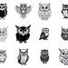 100 Procreate Owl Stamps Unique Realistic Owl Brushes for - Etsy