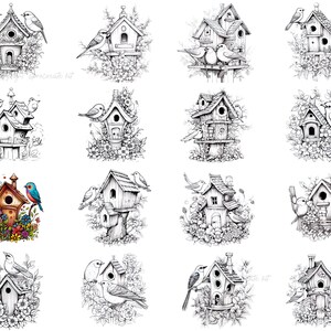 100+ Procreate Bird House Stamps, Nest Brushes for Procreate, Instant ...
