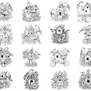100+ Procreate Bird House Stamps, Nest Brushes for Procreate, Instant ...