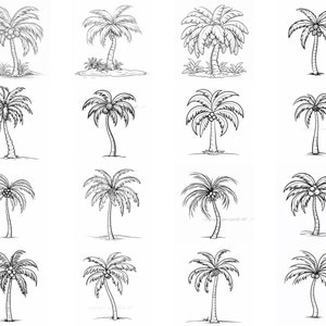 100+ Procreate Palm Tree Stamps, Palm Tree Brushes for Procreate ...