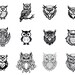 100 Procreate Owl Stamps Unique Realistic Owl Brushes for - Etsy