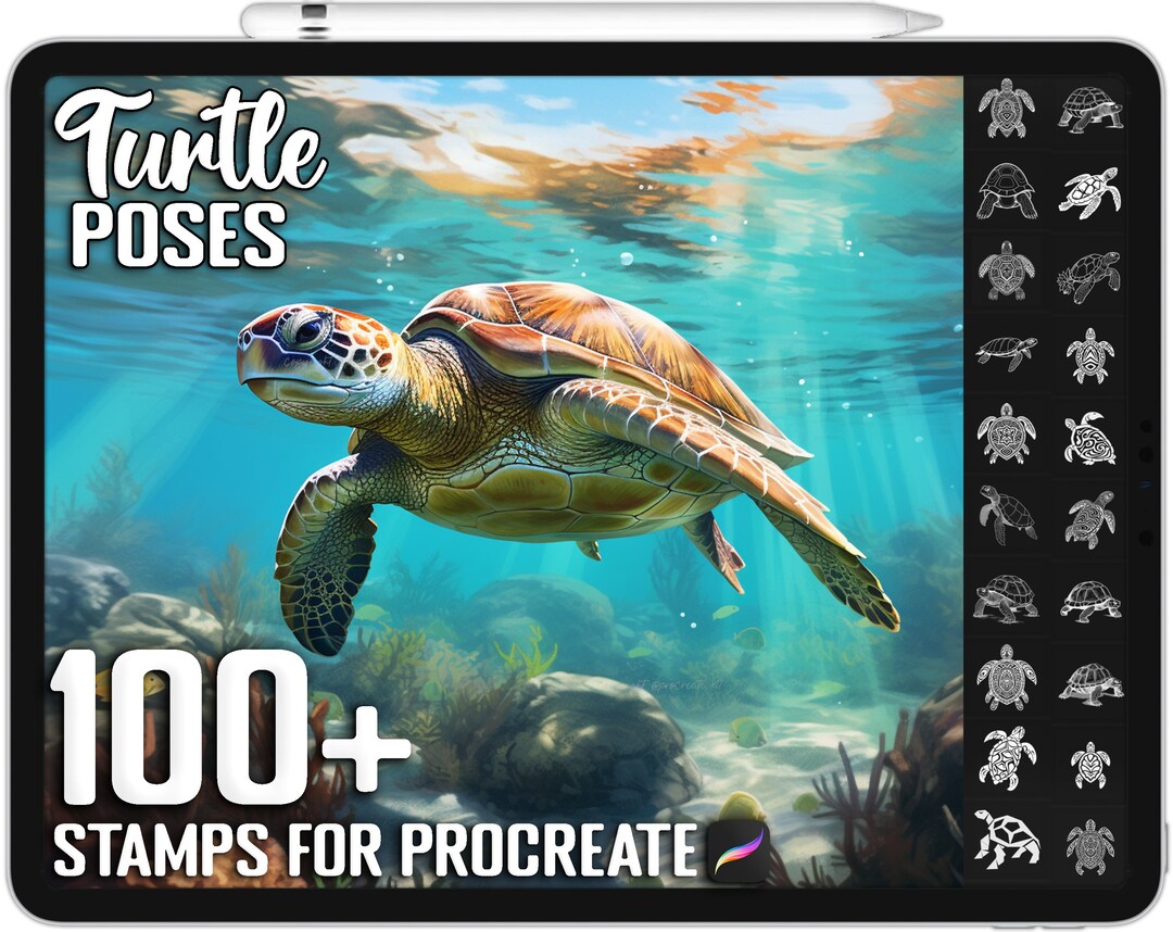 100+ Procreate Turtle Stamps, Unique Realistic Turtle Brushes for Procreate, Instant Digital ...