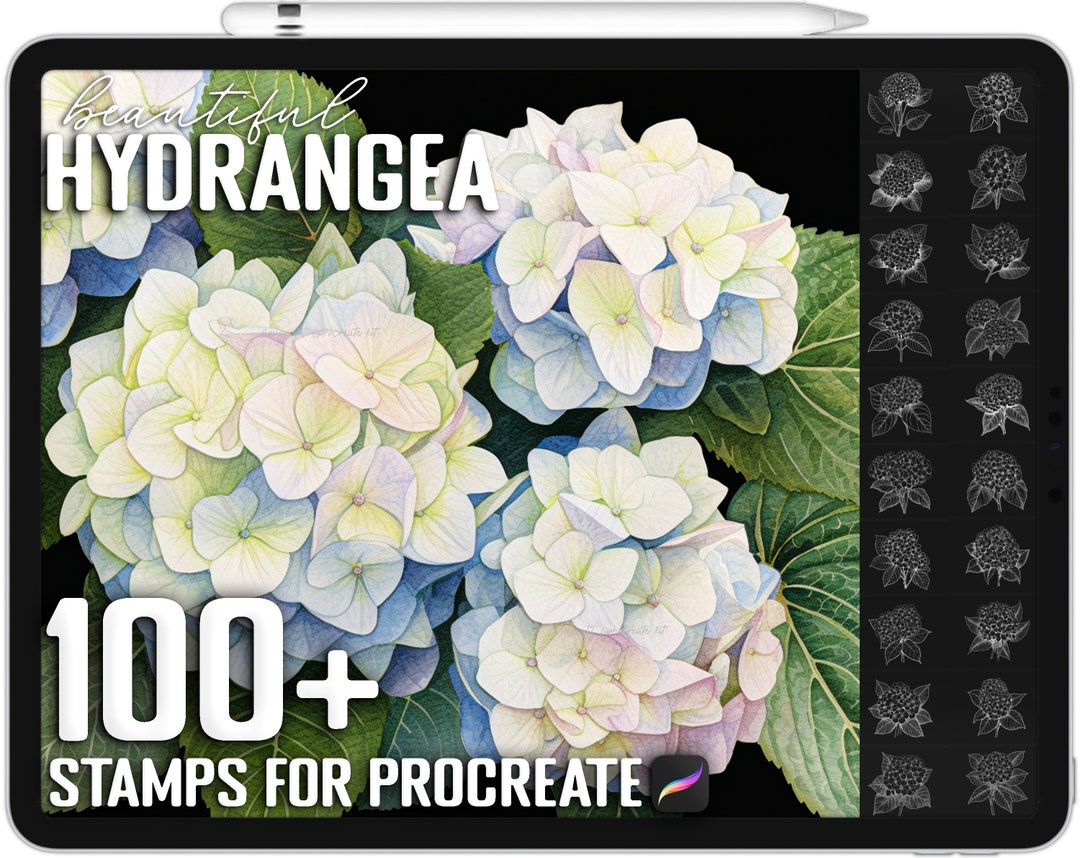 100+ Procreate Hydrangea Stamps, Hydrangea Brushes for Procreate, Instant Digital Download - Etsy
