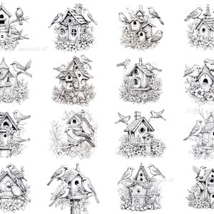 100+ Procreate Bird House Stamps, Nest Brushes for Procreate, Instant ...