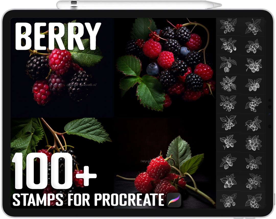 100+ Procreate Berry Stamps, Berry Brushes for Procreate, Instant ...