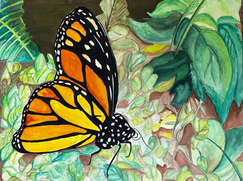 Monarch Butterfly - Etsy