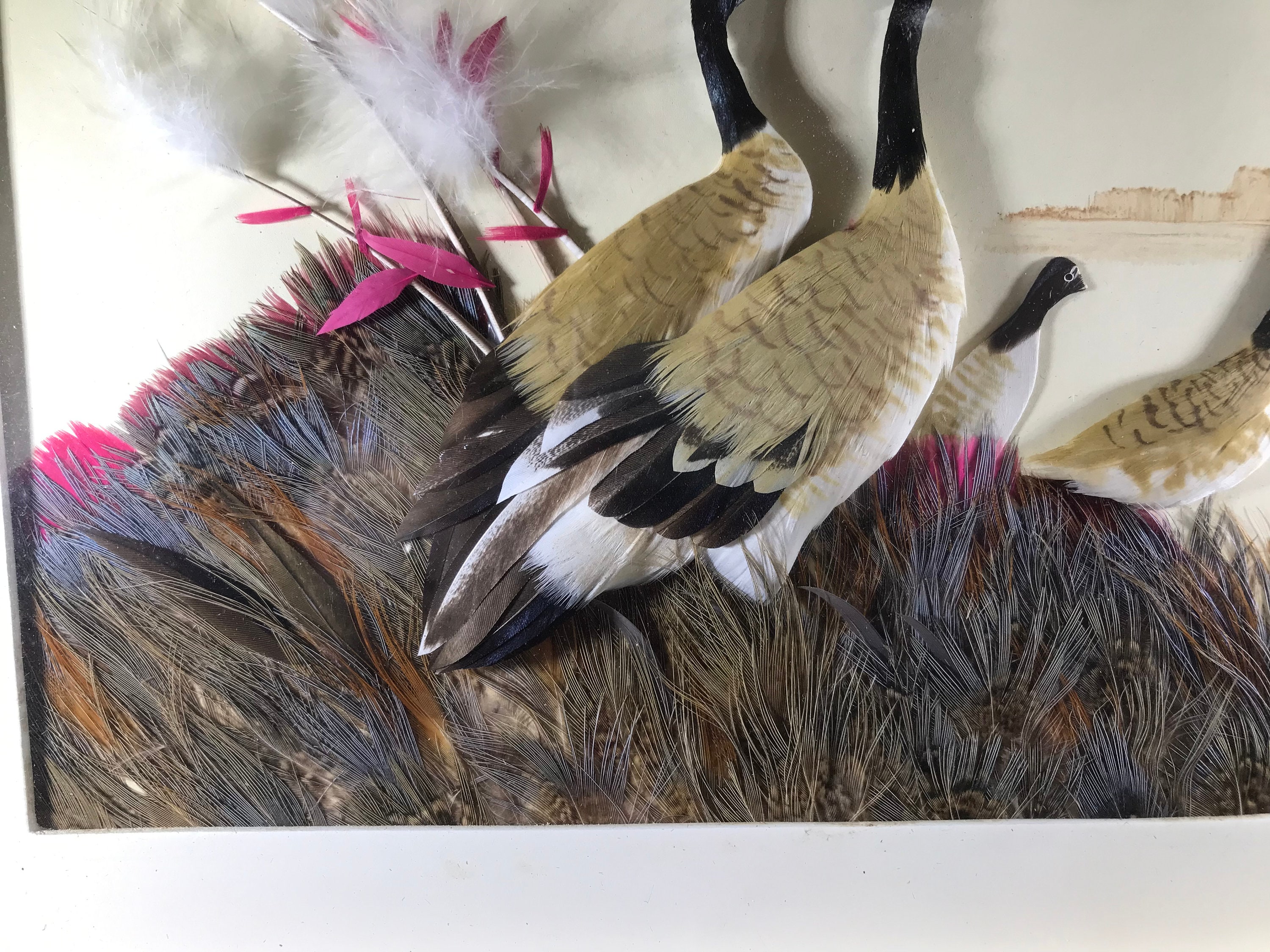 Canadian Geese 3-D Feather Art Shadow Box With Matting and Wooden Frame ...