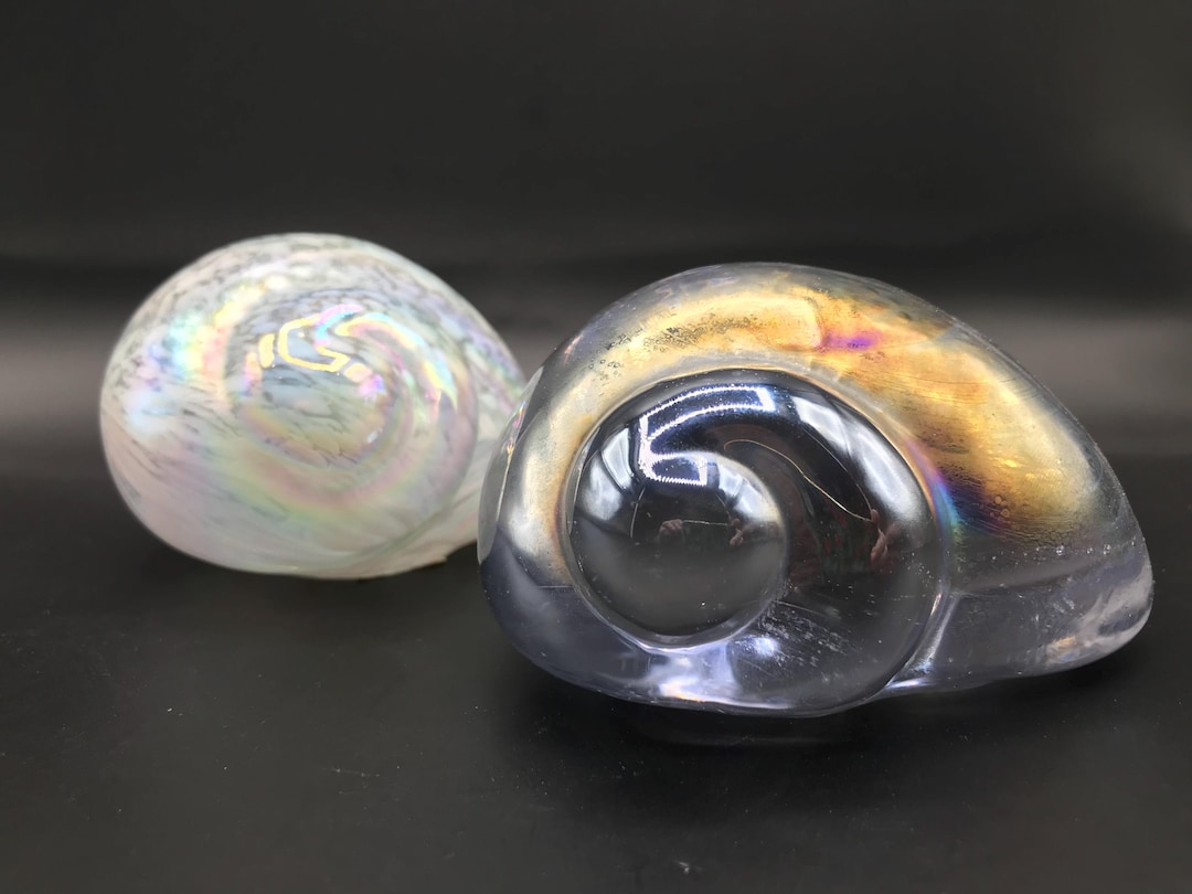 Conch Iridescent Glass Paperweight - Etsy