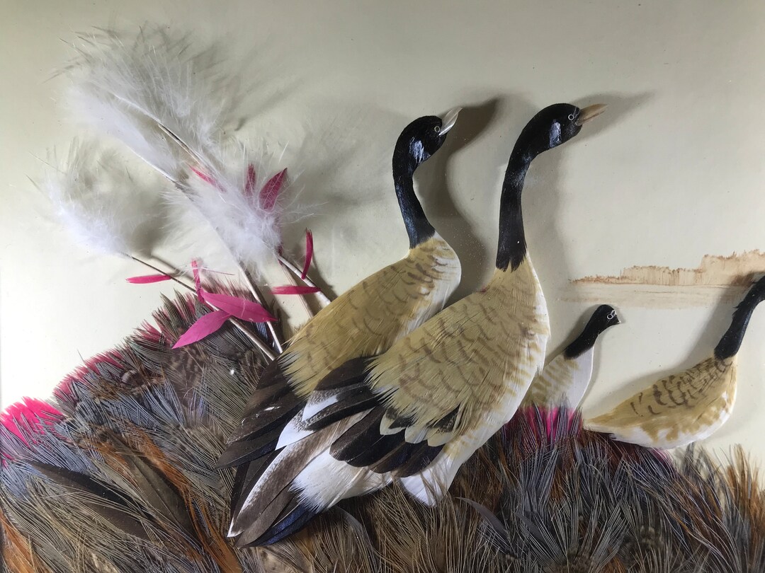 Canadian Geese 3-D Feather Art Shadow Box With Matting and Wooden Frame ...