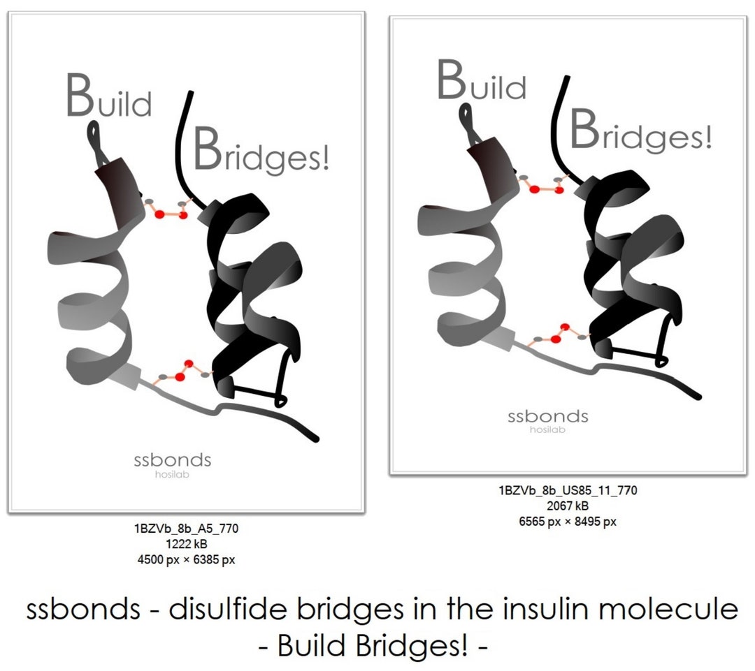 Build Bridges!- Ssbonds, Disulfide Bridge, Scientific Art, Biology ...