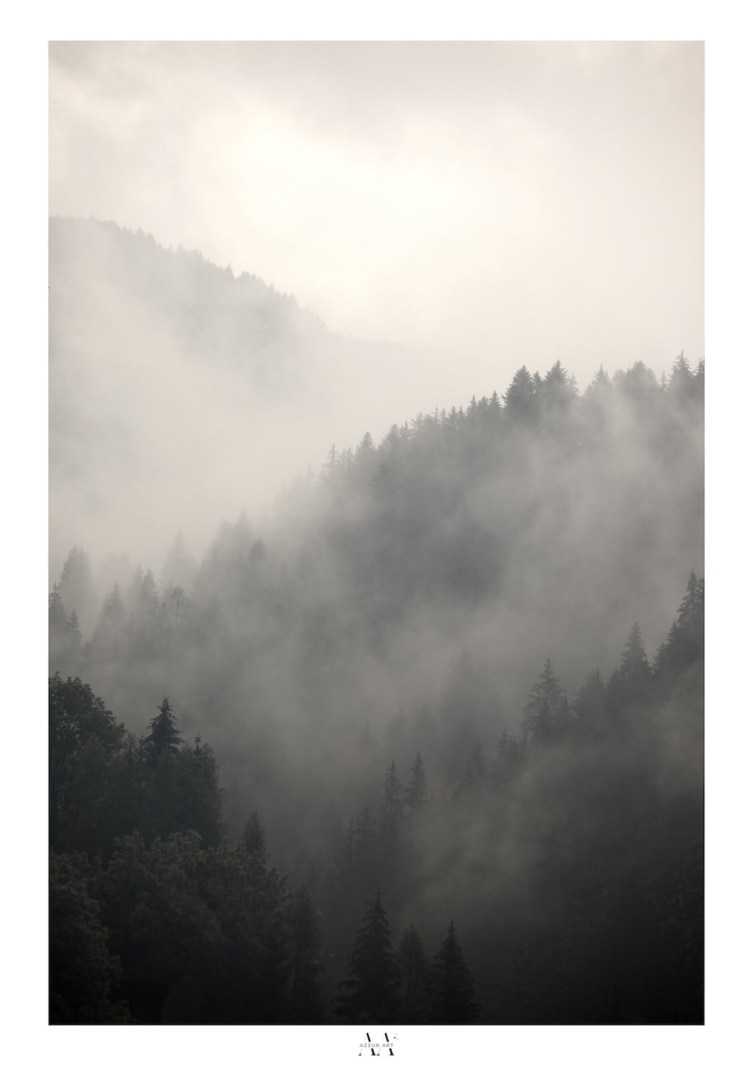 Digital Forest Fog Printable | Nature Digital Print, Forest Print ...