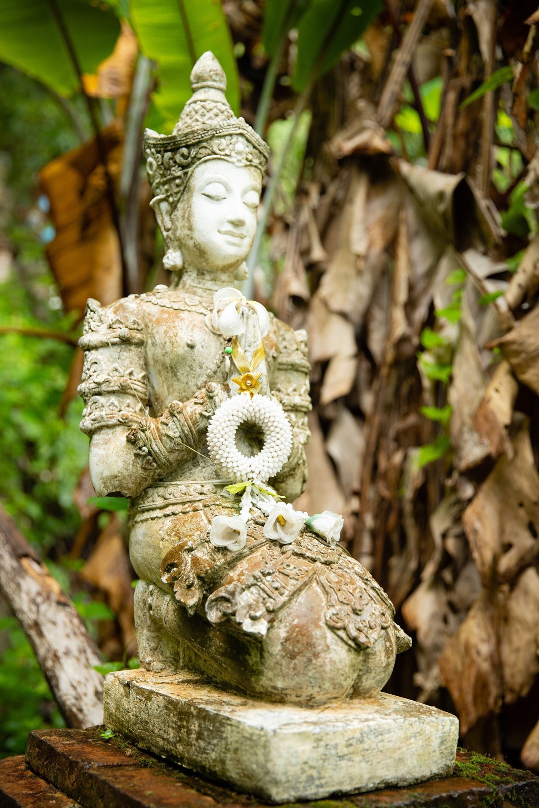 Forest Zen - Etsy