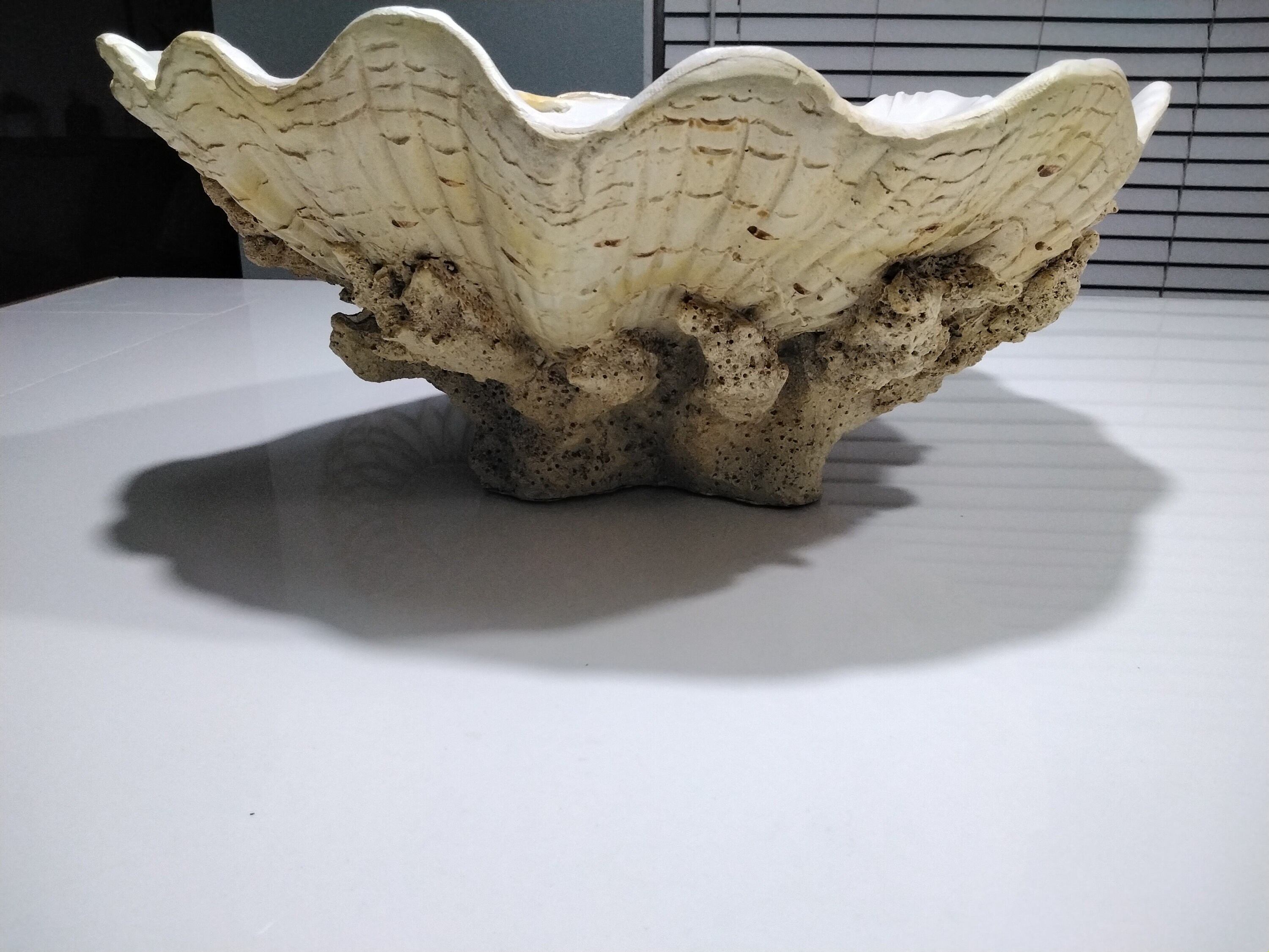 Giant Seashell Clam Coral Resin - Decorative Bowl - Etsy
