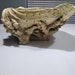 Giant Seashell Clam Coral Resin Decorative Bowl - Etsy