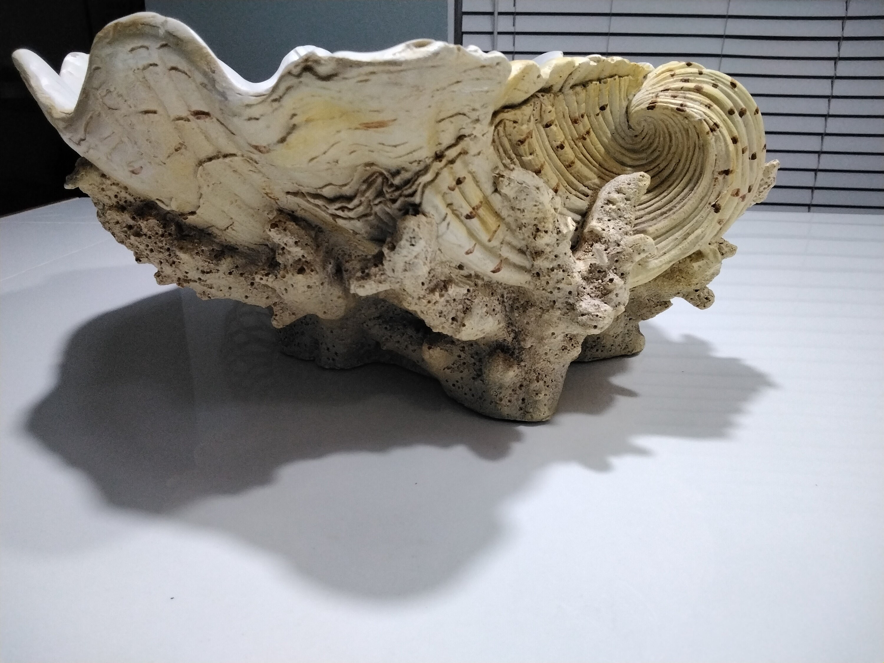 Giant Seashell Clam Coral Resin - Decorative Bowl - Etsy