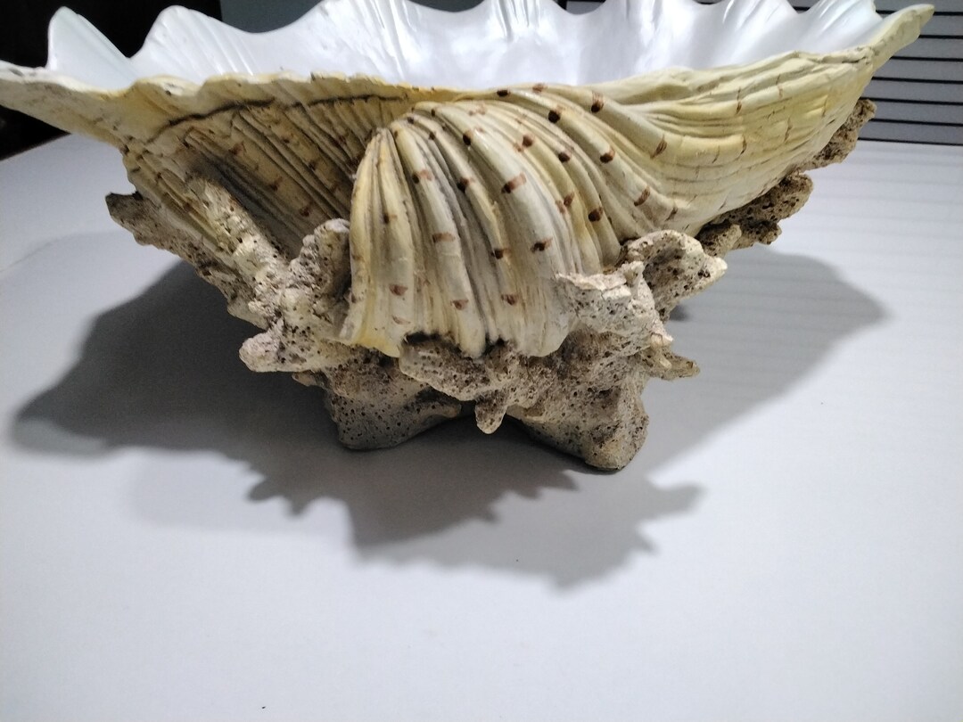 Giant Seashell Clam Coral Resin - Decorative Bowl - Etsy