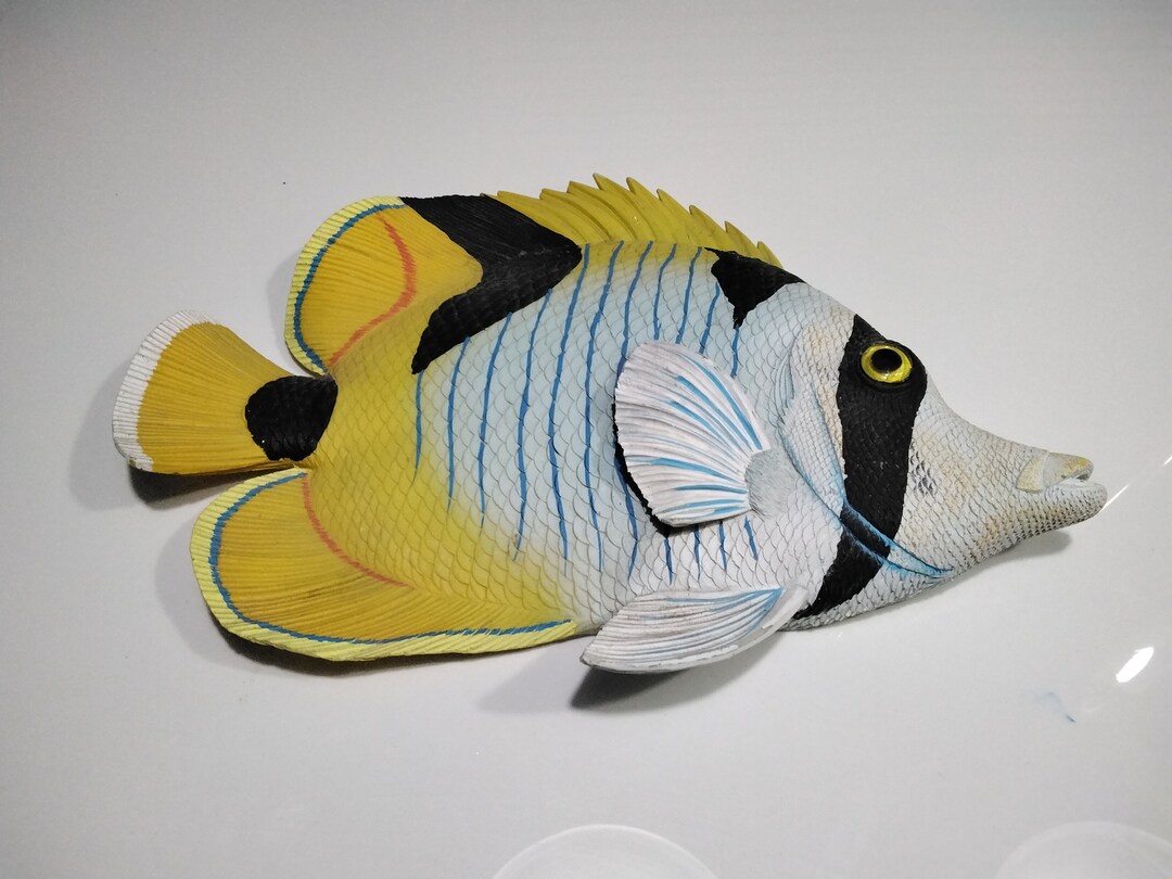 Tropical Reef Angelfish Decorative Wall Art Home Decor - Etsy