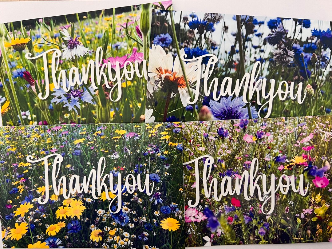 Set of 24 Wildflower Thankyou Cards Multipack Set - Etsy