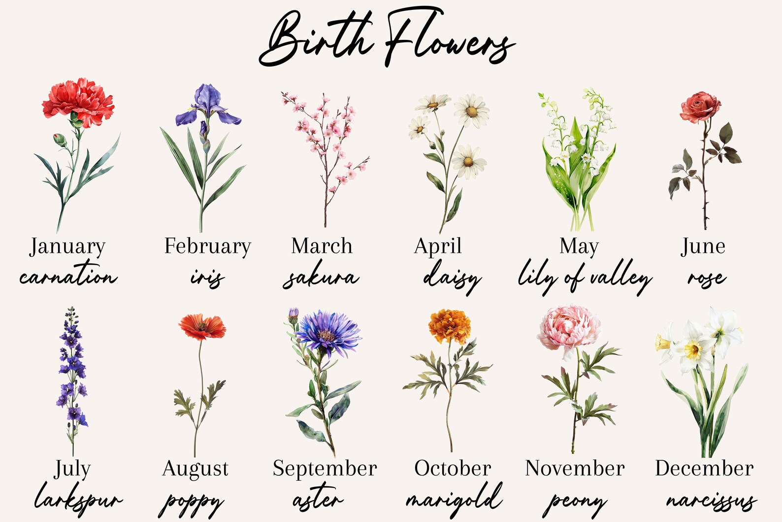 Birth Month Flowers Clipart PNG Instant Download Commercial Use Birth ...