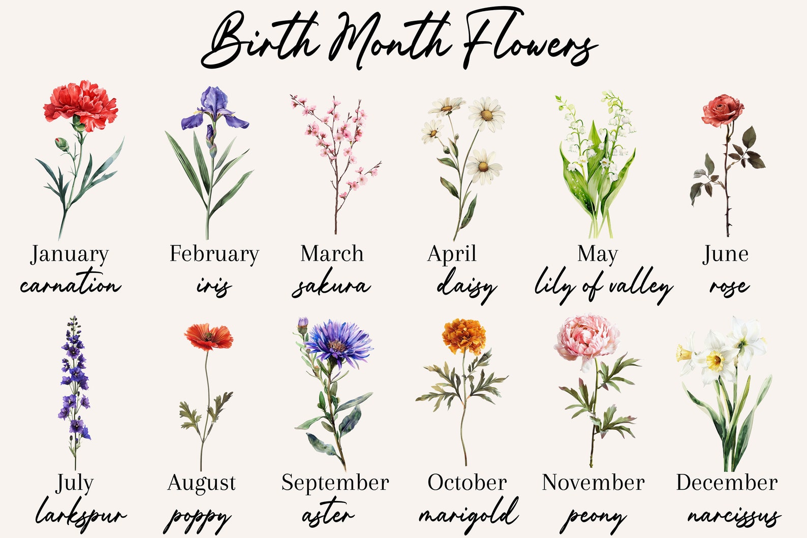 Birth Month Flowers Clipart PNG Instant Download Commercial Use Birth ...