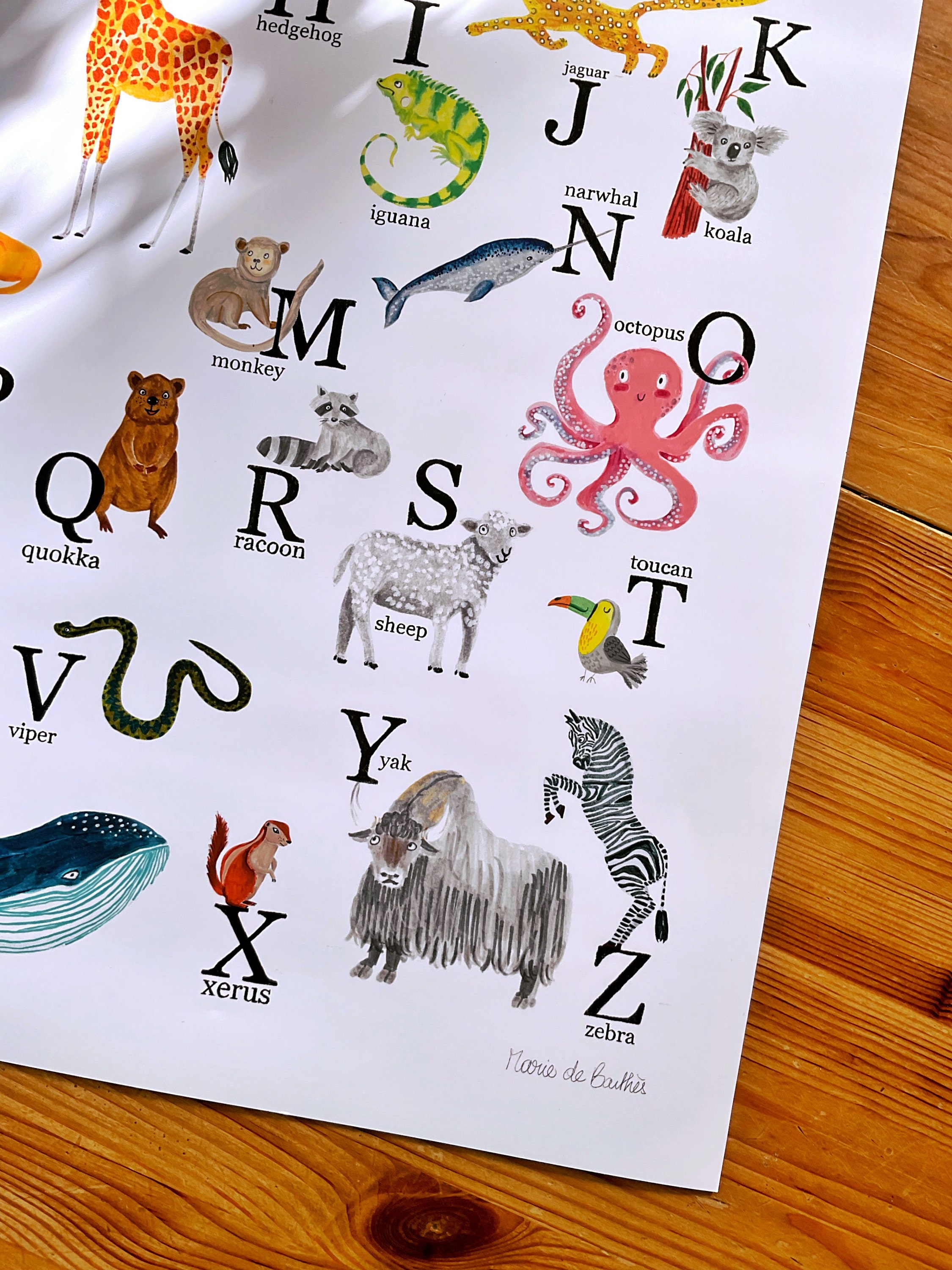 Animal Alphabet Poster for a Kid's Room or Playroom Hand - Etsy