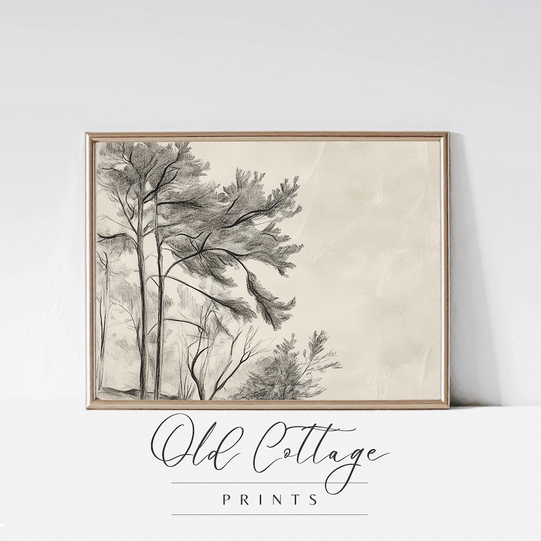 Silent Forest Digital Download Black and White Tree Sketch Minimalist ...