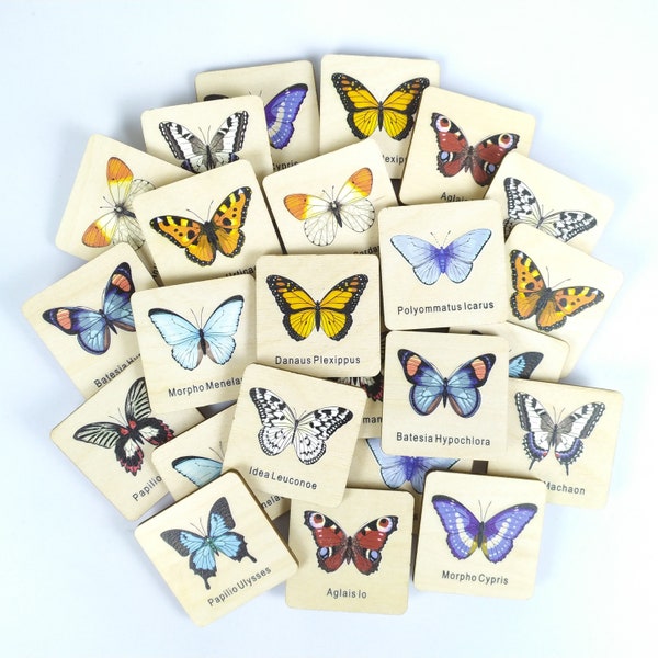 Butterfly Matching Game - Etsy