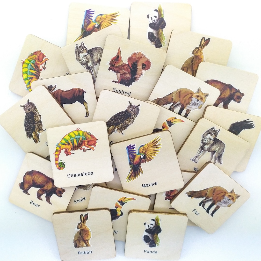 Montessori Forest Animals Matching Game Preschool Homeschool - Etsy