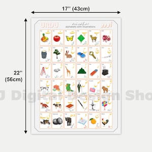 Urdu Alphabet Poster for Kids, Urdu Alphabets With Illustrations, First ...