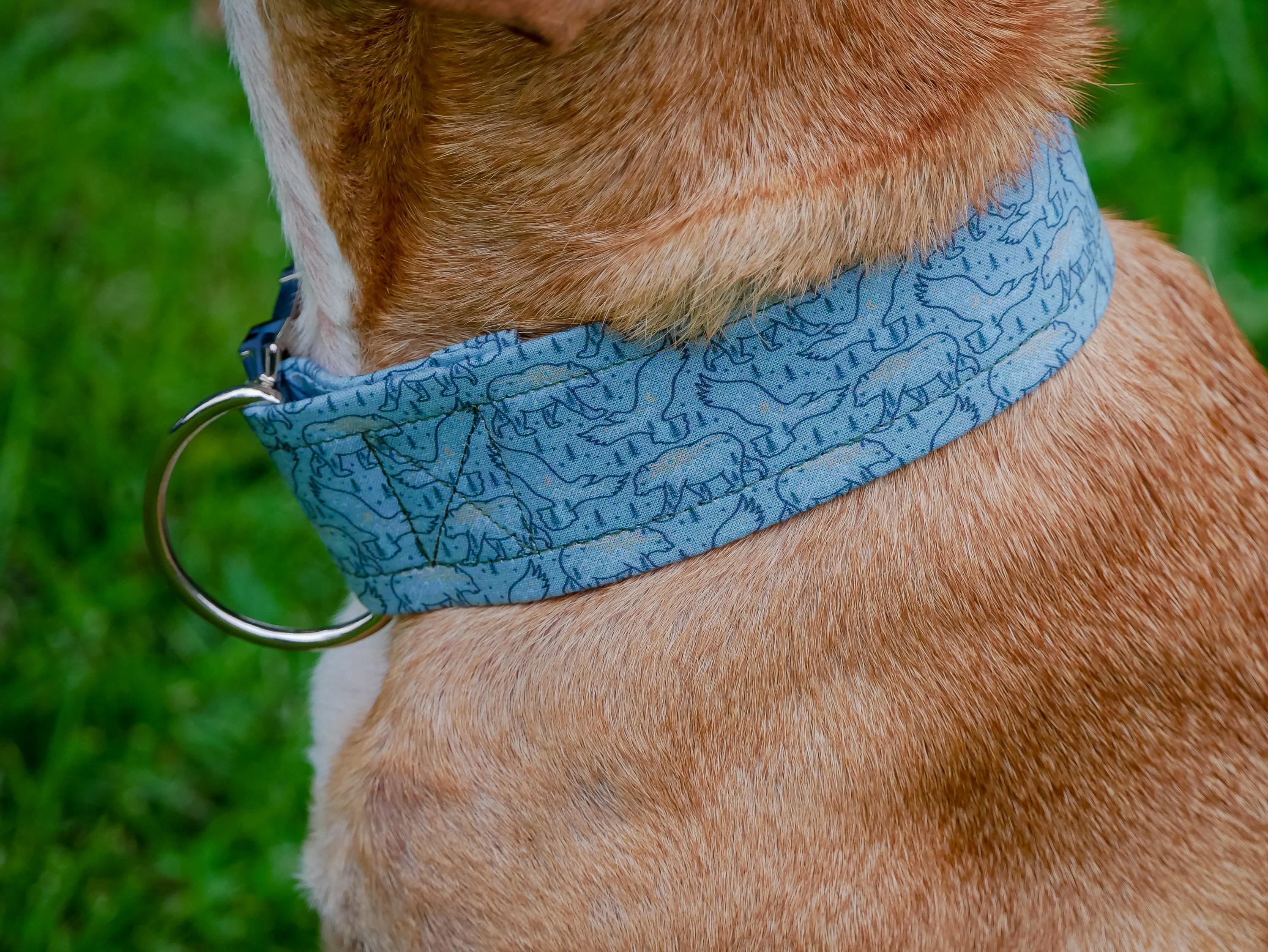 Forest Animals Dog Collar: Thick 2 Inch Collar, Big Breed - Etsy