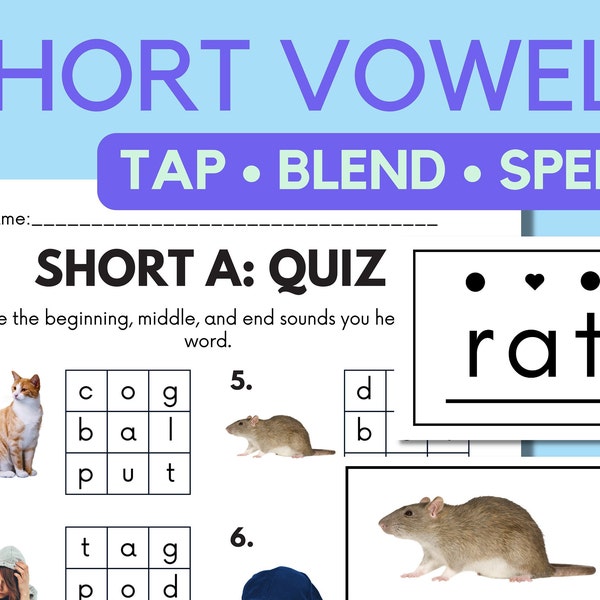 Cvc Flashcards - Etsy