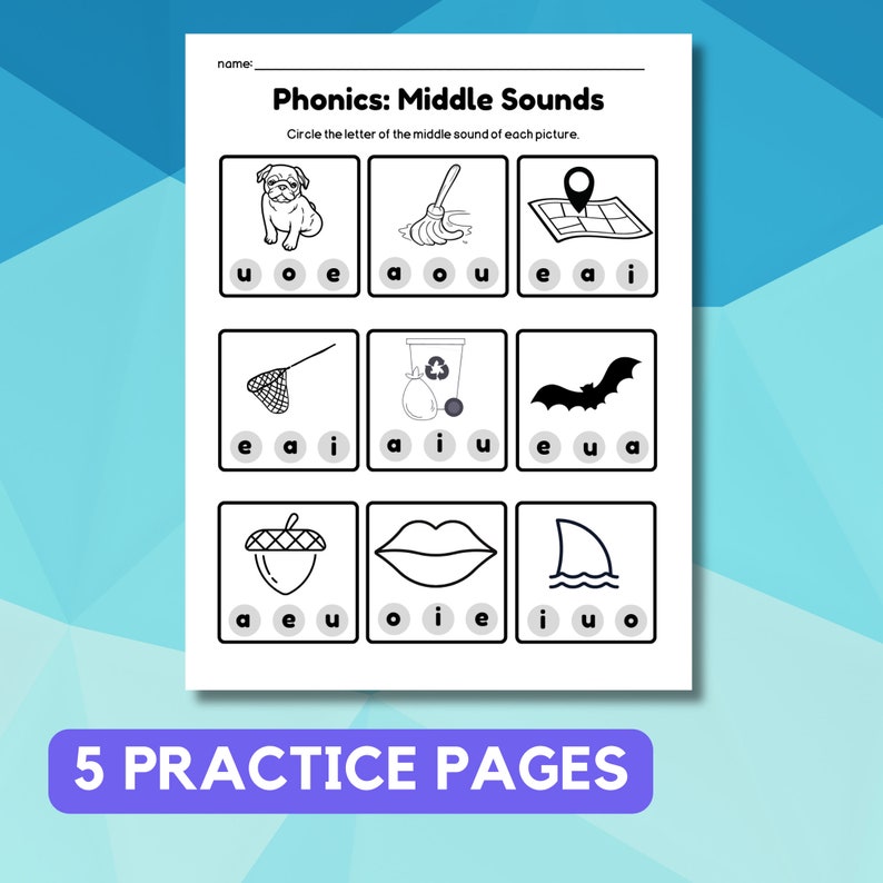 Middle Sounds Phonics Worksheets • Medial Sound Review Practice ...